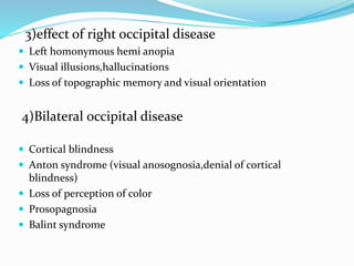 Parietal & occipital lobes | PPT