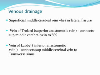 Parietal & occipital lobes | PPT