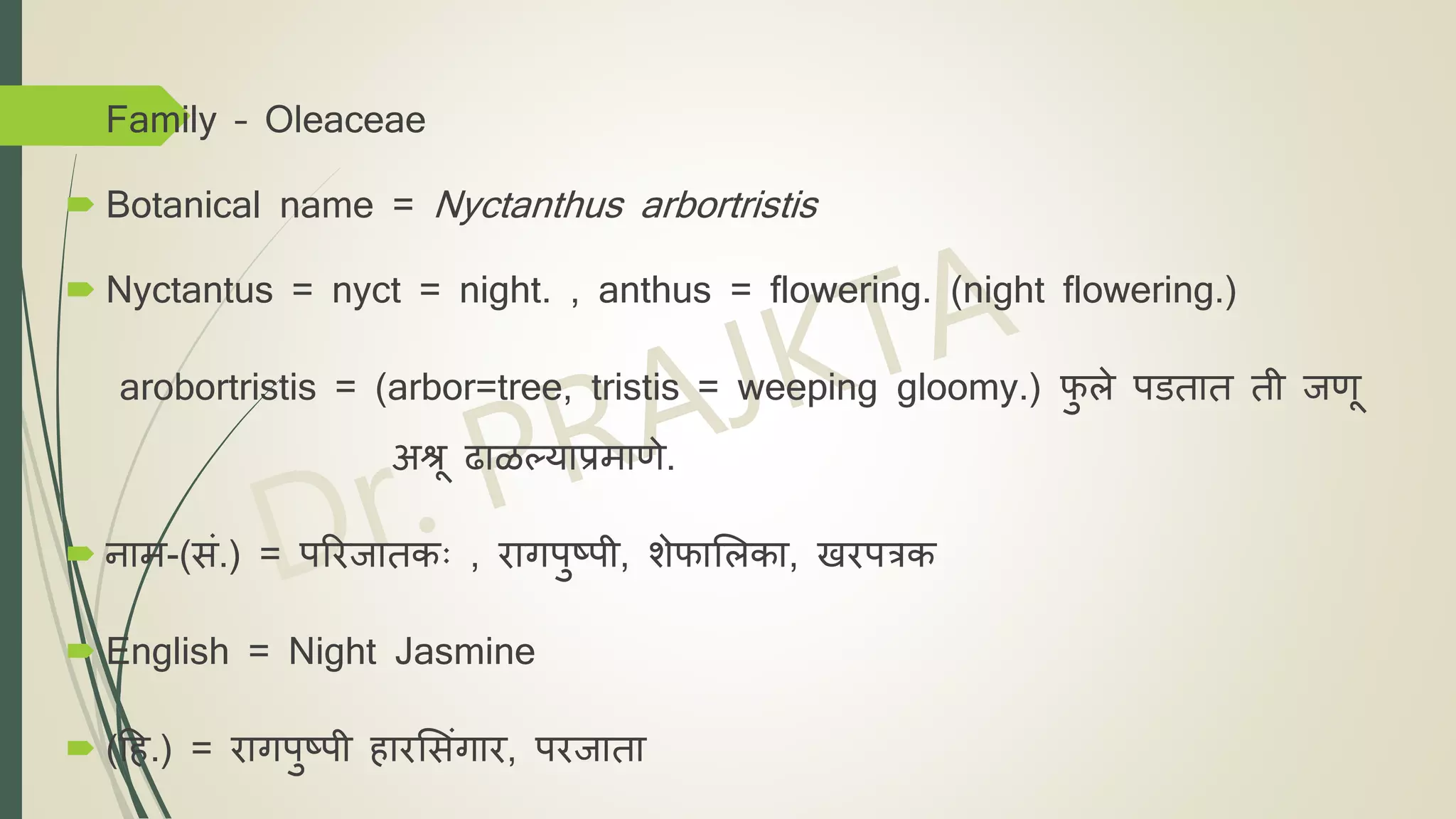 Parijatak = Nyctanthus arbortristis | PPTX