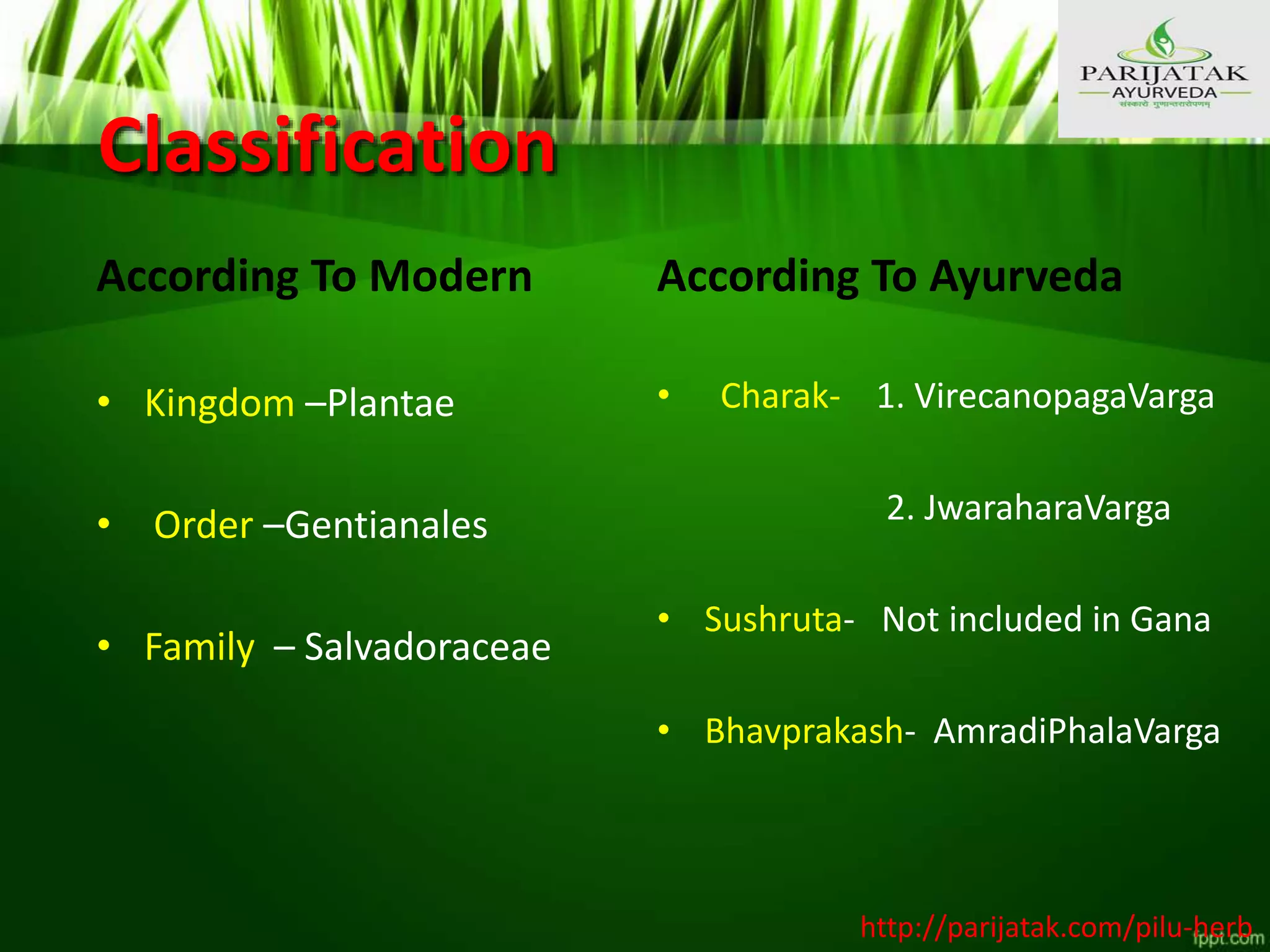 Parijatak- pilu herb | parijatak | PPTX