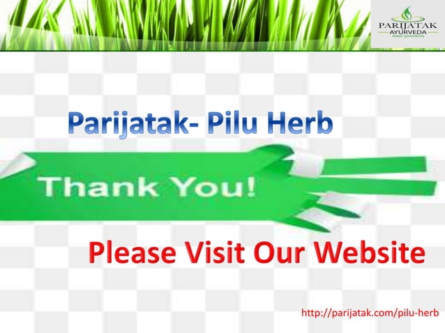 Parijatak- pilu herb | parijatak | PPT
