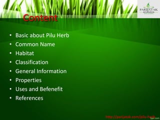 Parijatak- pilu herb | parijatak | PPT