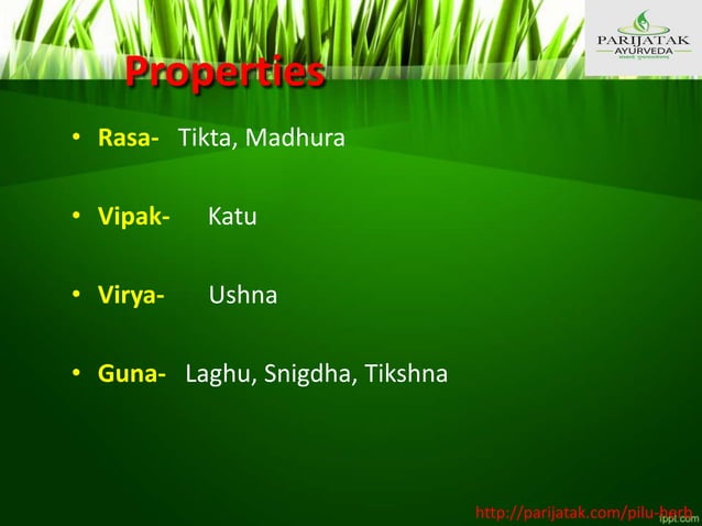 Parijatak- pilu herb | parijatak | PPT