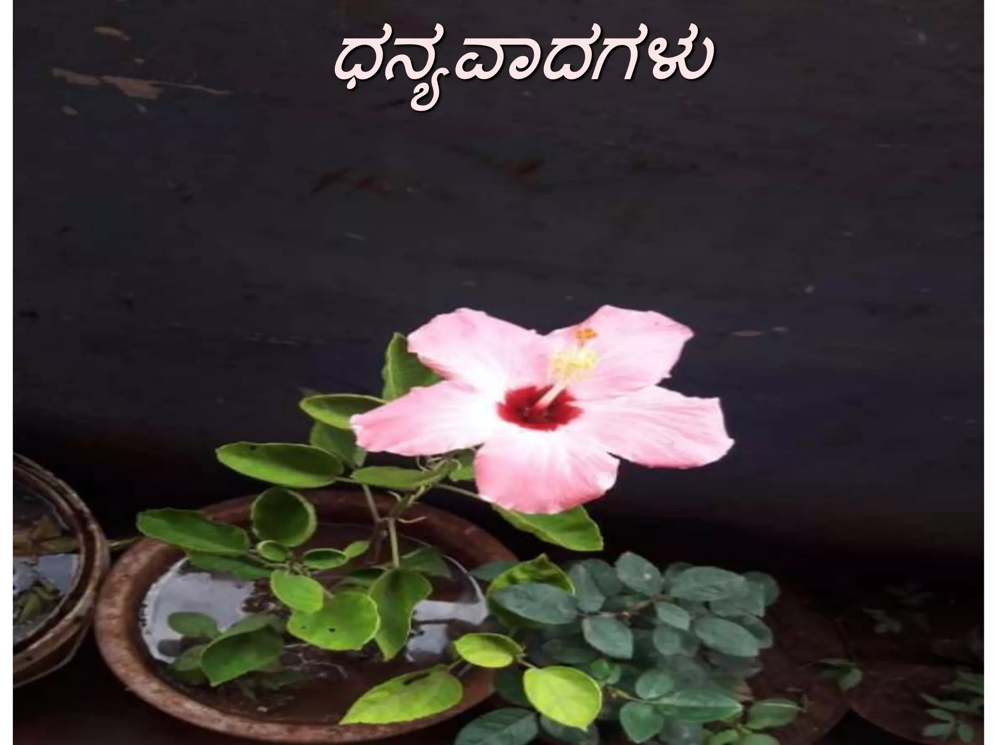Parimala kannada ppt | PPTX
