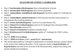 amino acid catabolism leading to acetoacetate formation | PPT