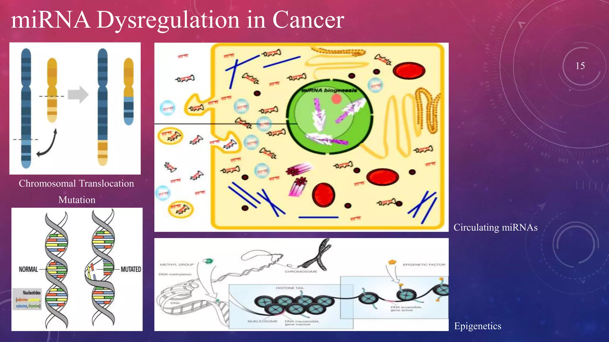 microRNA Message to T Cell Acute Lymphoblastic Leukemia | PPTX