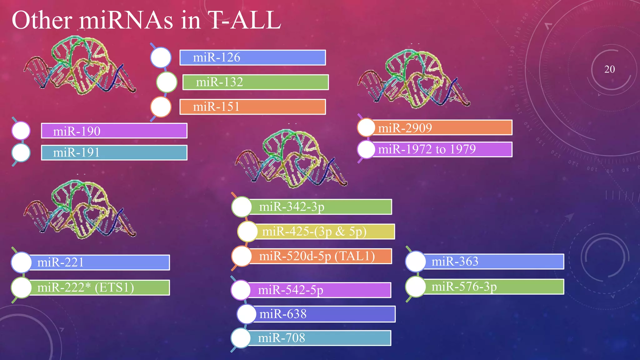 microRNA Message to T Cell Acute Lymphoblastic Leukemia | PPTX
