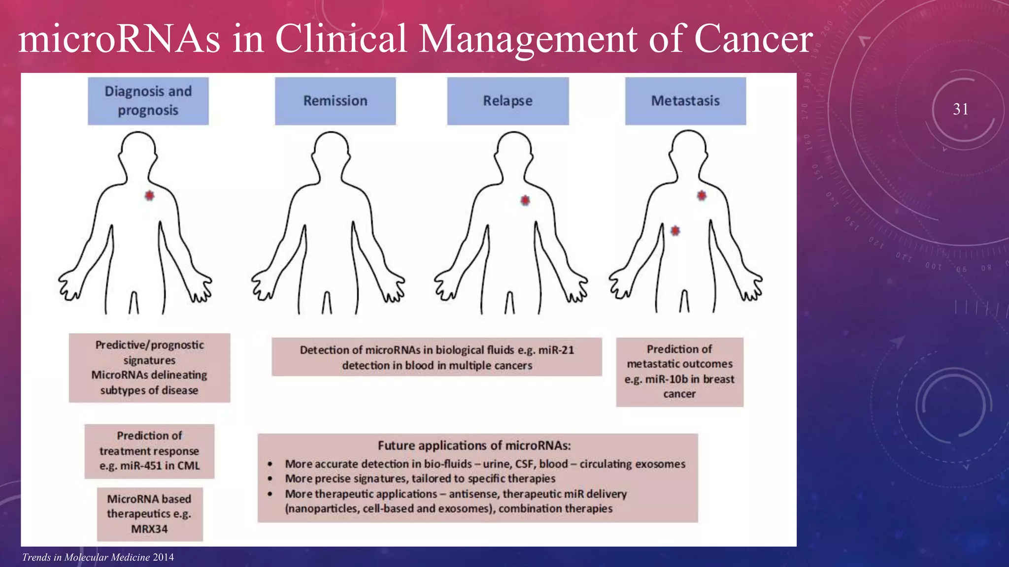 microRNA Message to T Cell Acute Lymphoblastic Leukemia | PPTX
