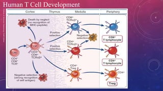 microRNA Message to T Cell Acute Lymphoblastic Leukemia | PPTX