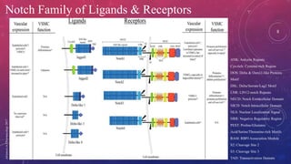 microRNA Message to T Cell Acute Lymphoblastic Leukemia | PPTX