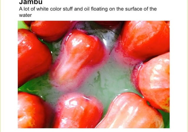 Parishaki hokkaido okhotsk sea scallop shell calcium (EN) | PPT