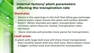 factor affecting of transpiration | PPT