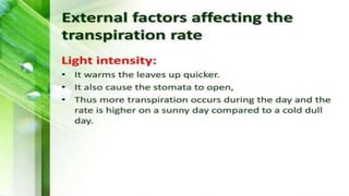 factor affecting of transpiration | PPT