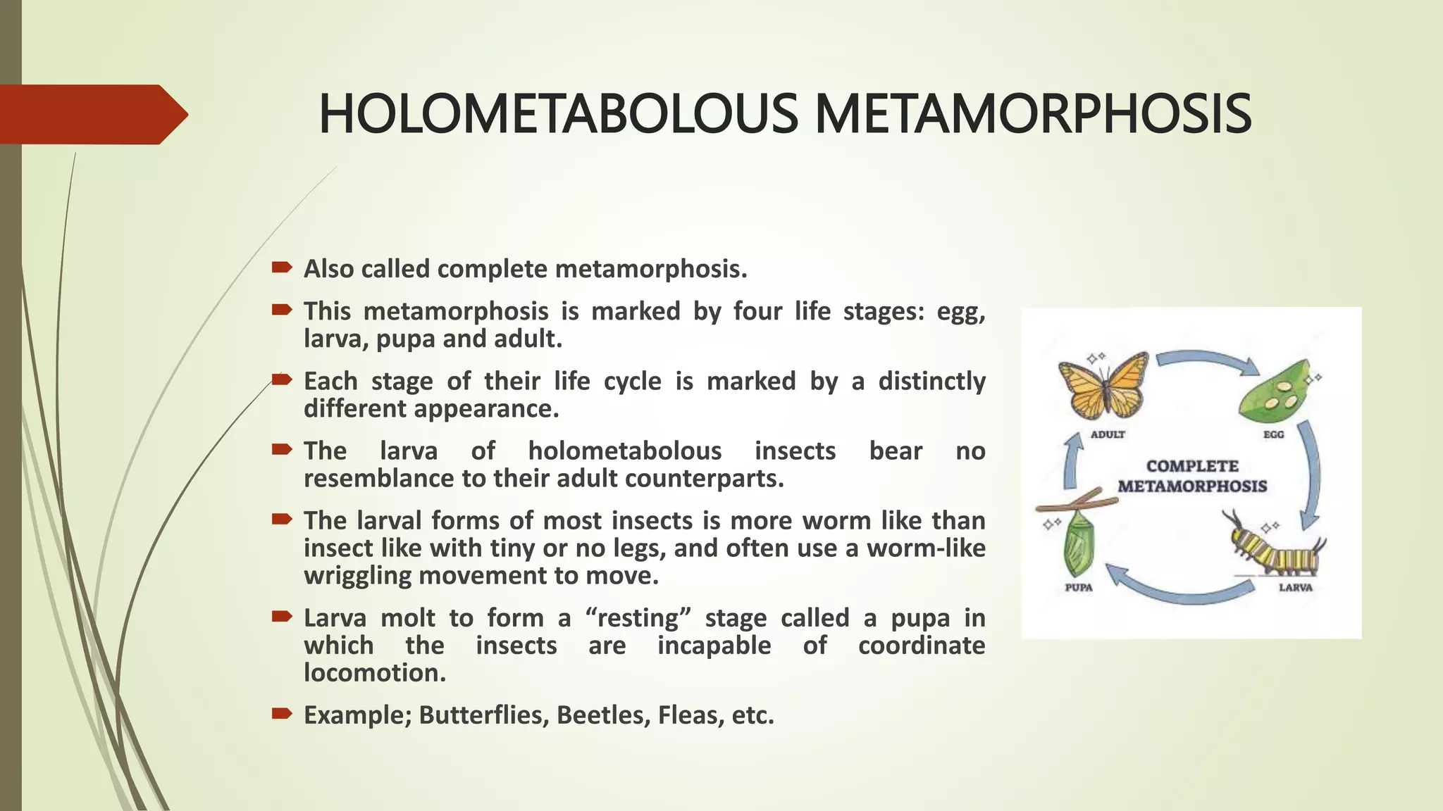 Parishmita Chutia.pptx