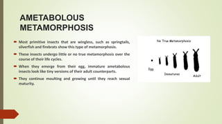 Parishmita Chutia.pptx