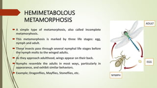 Parishmita Chutia.pptx