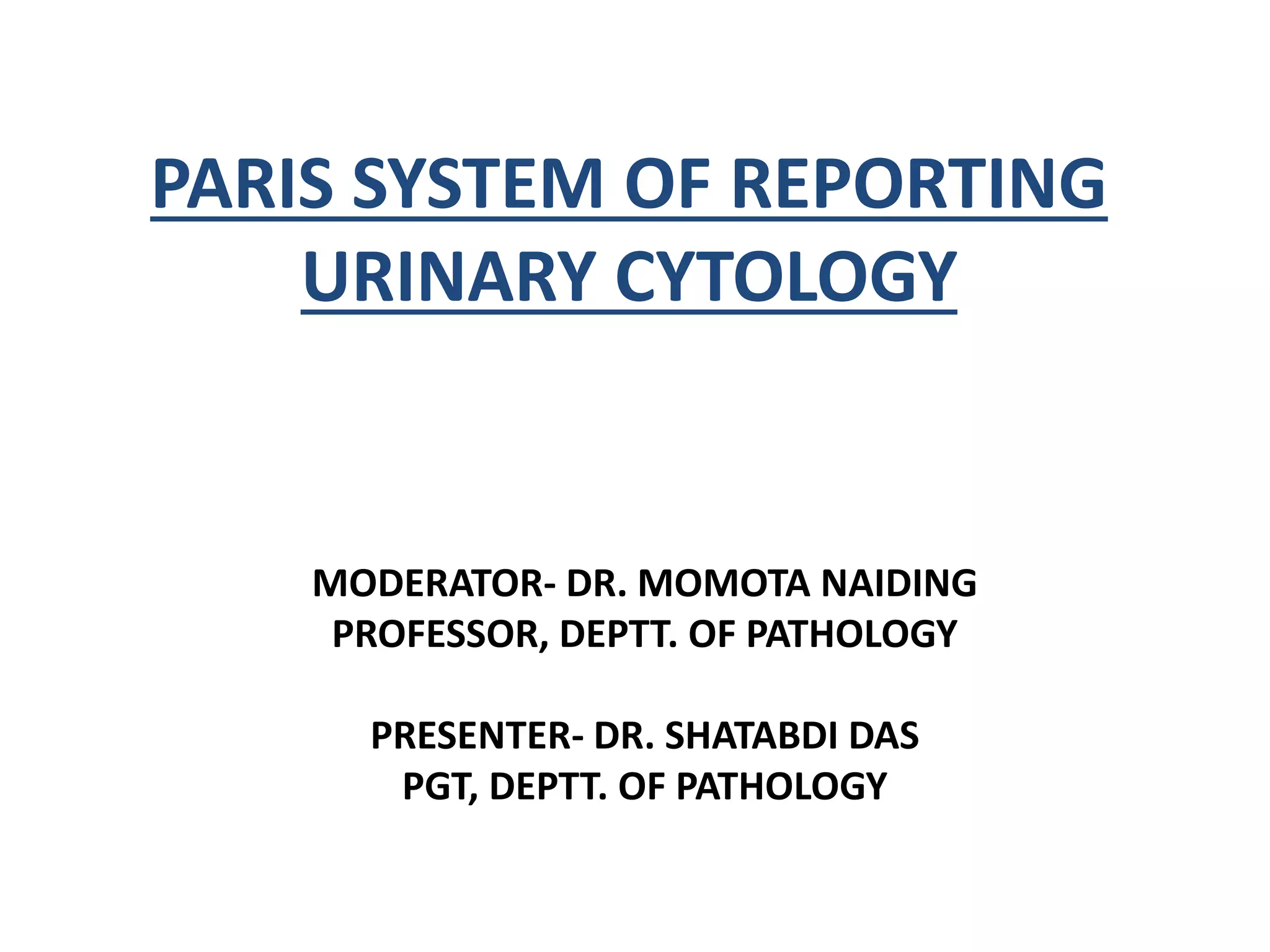 paris presentation.pptx