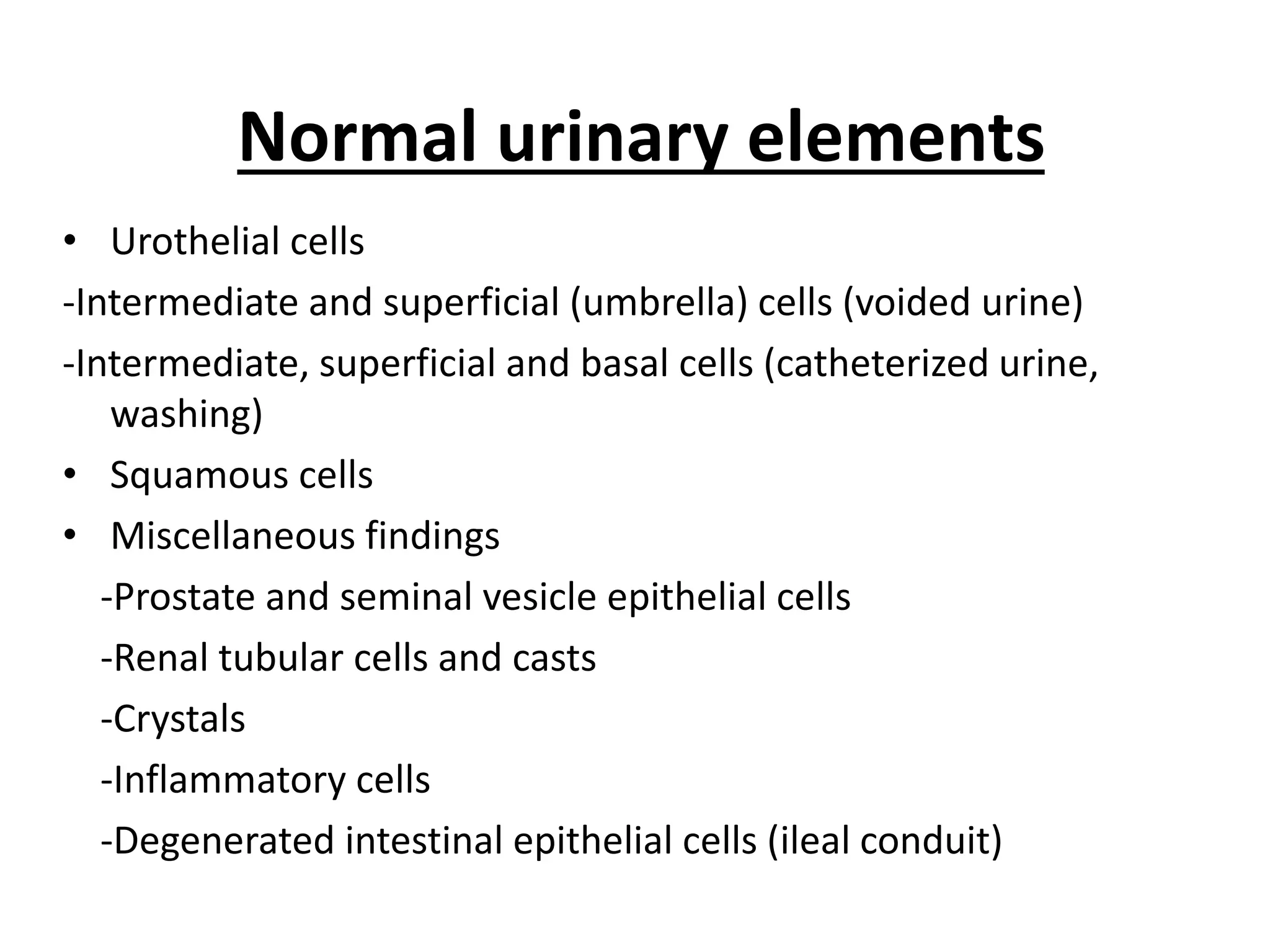 paris presentation.pptx