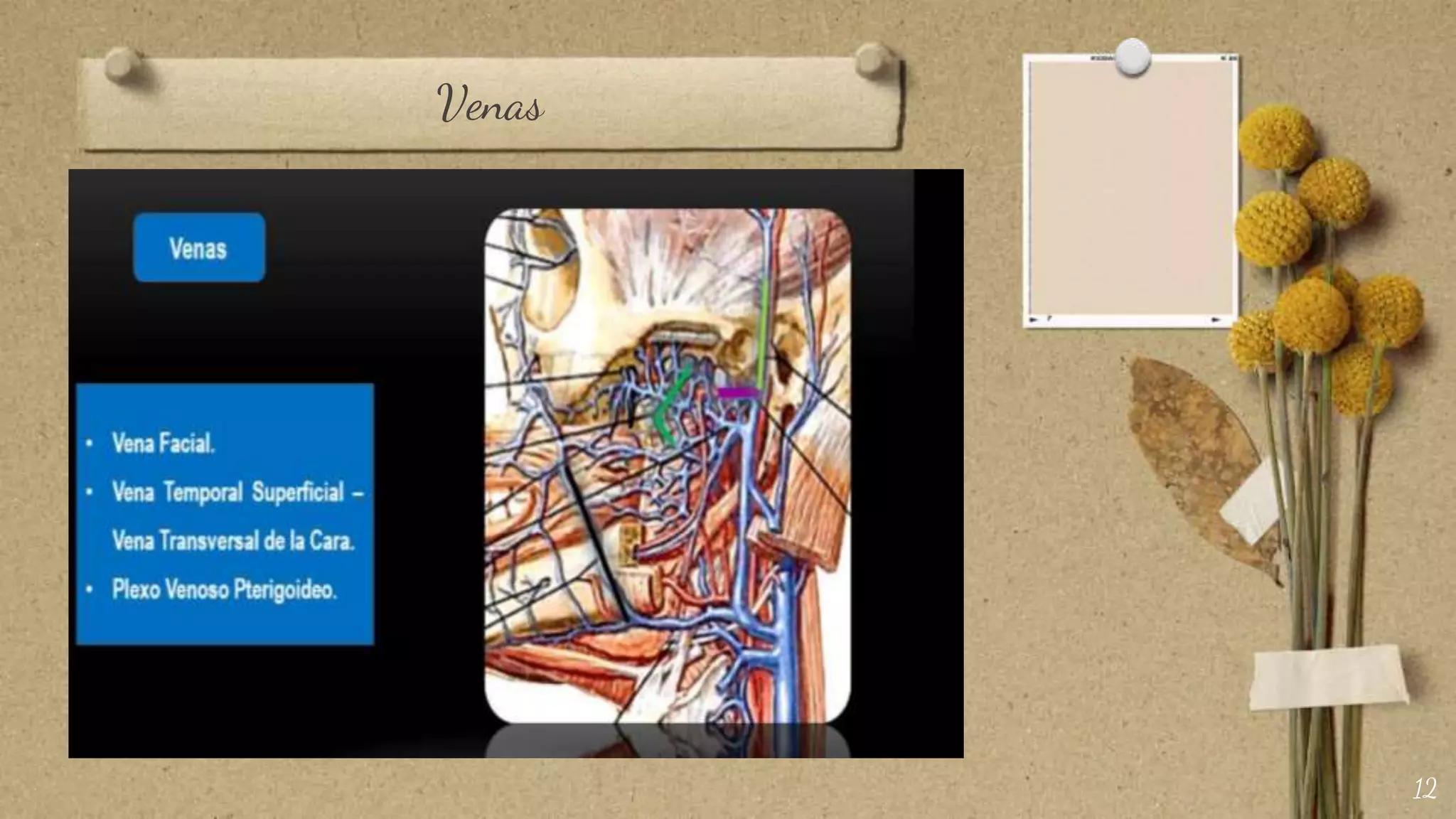 Paris · SlidesCarnival.pptx