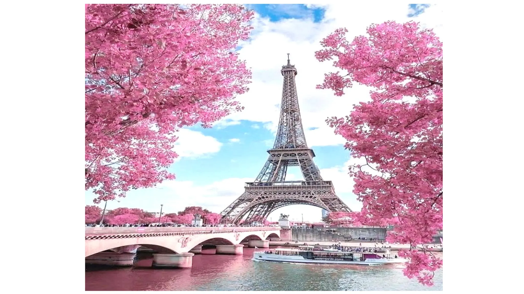 PARIS SYSTEM FOR URINE CYTOLOGY paris system of reporting urine ...