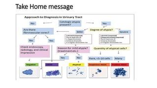 paris system of urine (cytology)Dr.Ankita Singh | PPTX