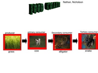 Parker Food Chain | PPT