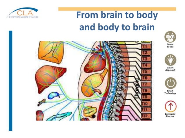 Dr. Fletcher/CLA's Insight NeuroFunctional, COREscore ...