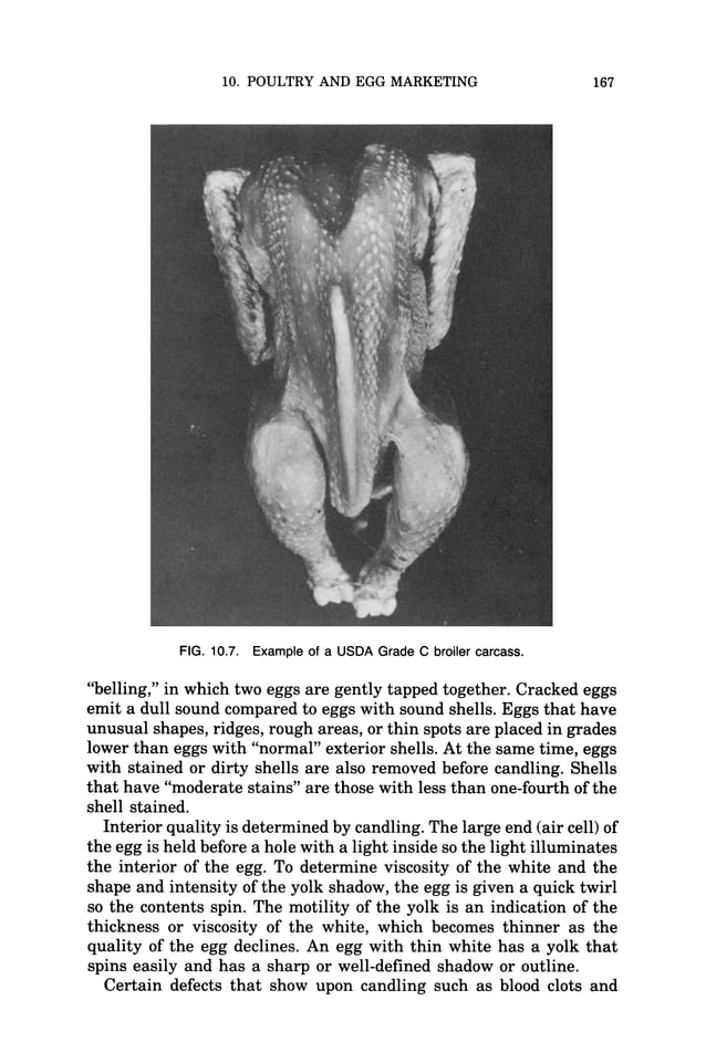 Poultry processing.pdf
