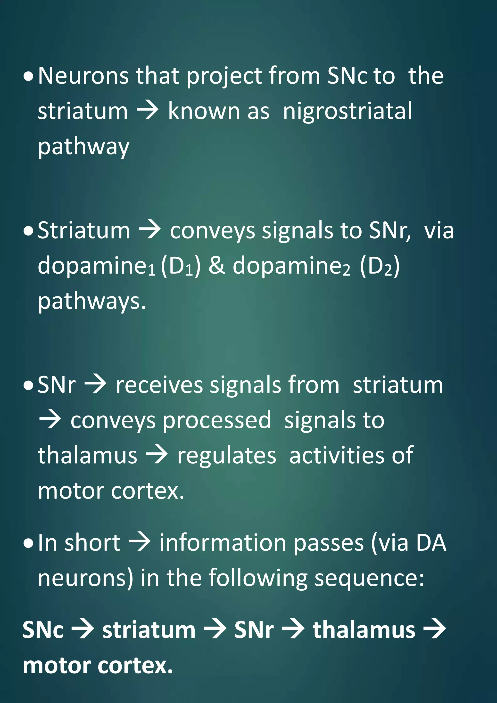 Parkinson Disease Pathophysiology #Dr. Vishnu! | PPTX