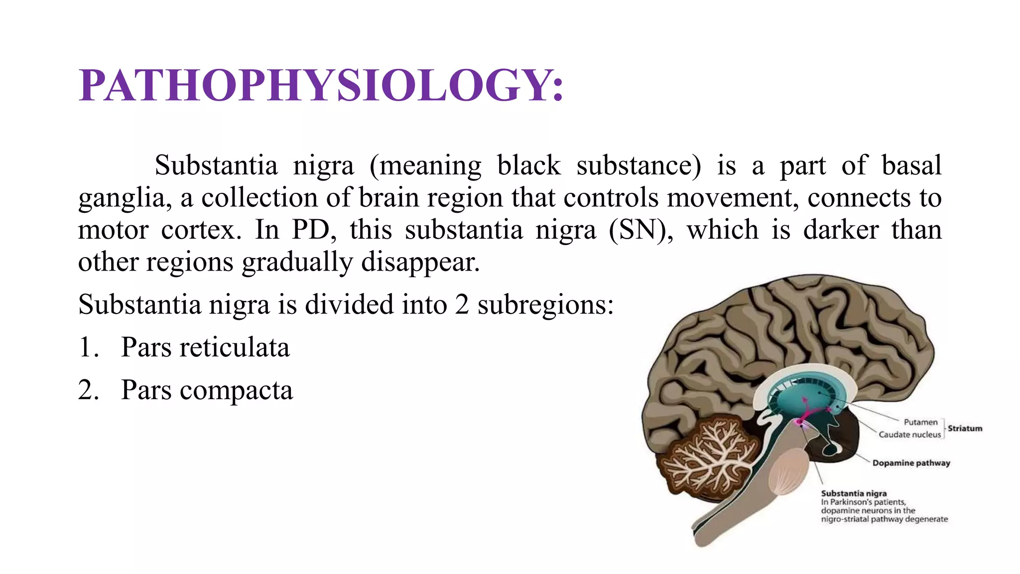 Pathophysiology of Parkinsonism and its management for Pharm.D (Pharmacotherapeutics-III) | PPTX