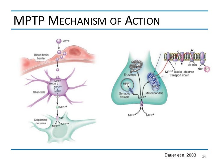 Images of MPTP - JapaneseClass.jp