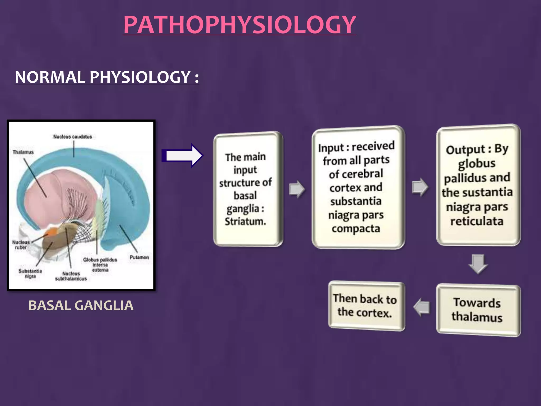 Parkinson's Disease | PPTX