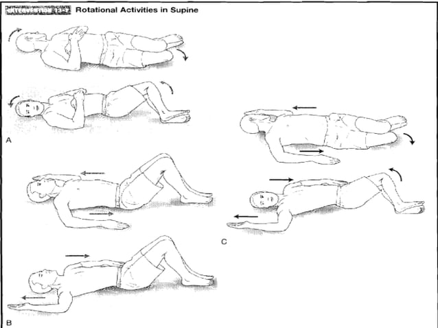 Parkinsons disease and physiotherapy | PPT | Physical Therapy | Wellness