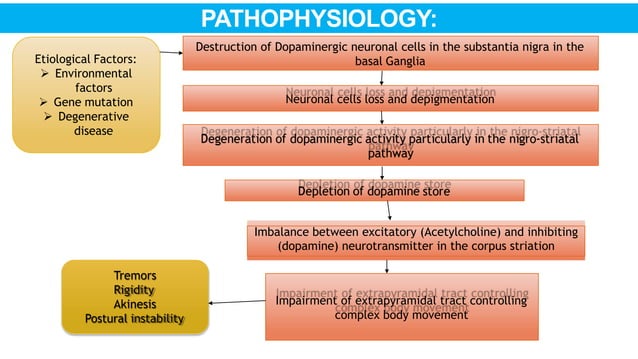 PARKINSON'S DISEASE And pathophysiology .pdf by SMH.pdf