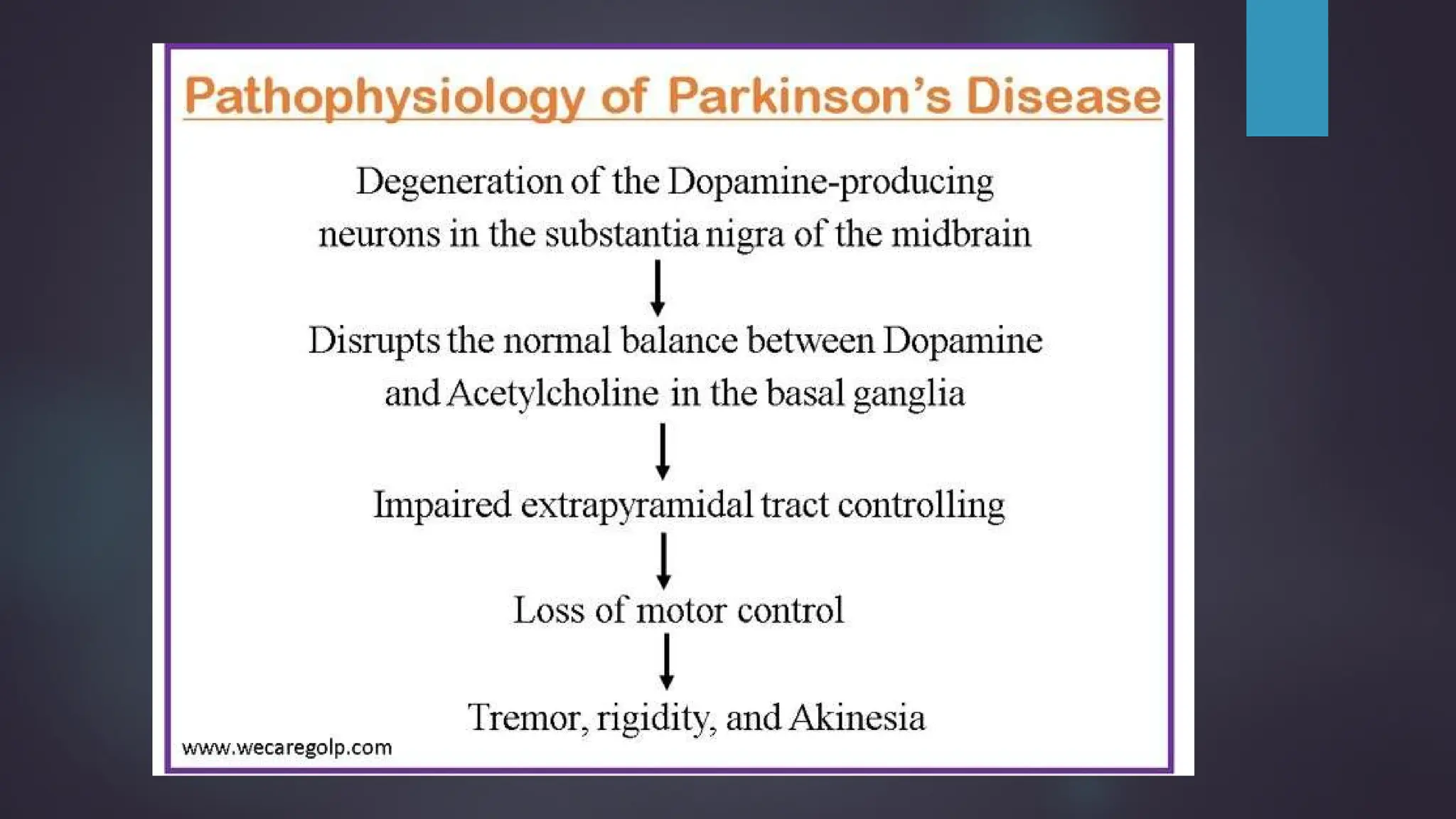 PARKINSON’S DISEASE.ppt . | PPT