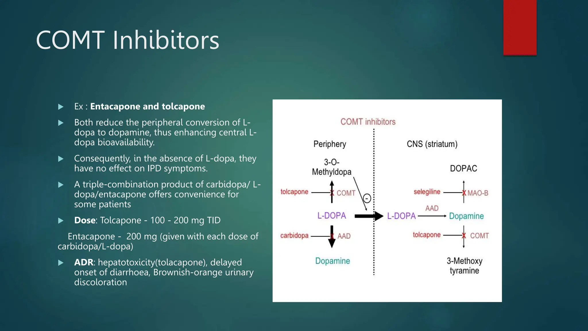 PARKINSON’S DISEASE | PPTX
