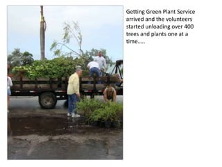 Park Plantings | PPTX