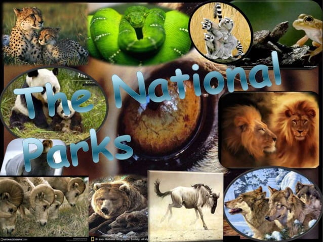 Parks and Zoo.pptx
