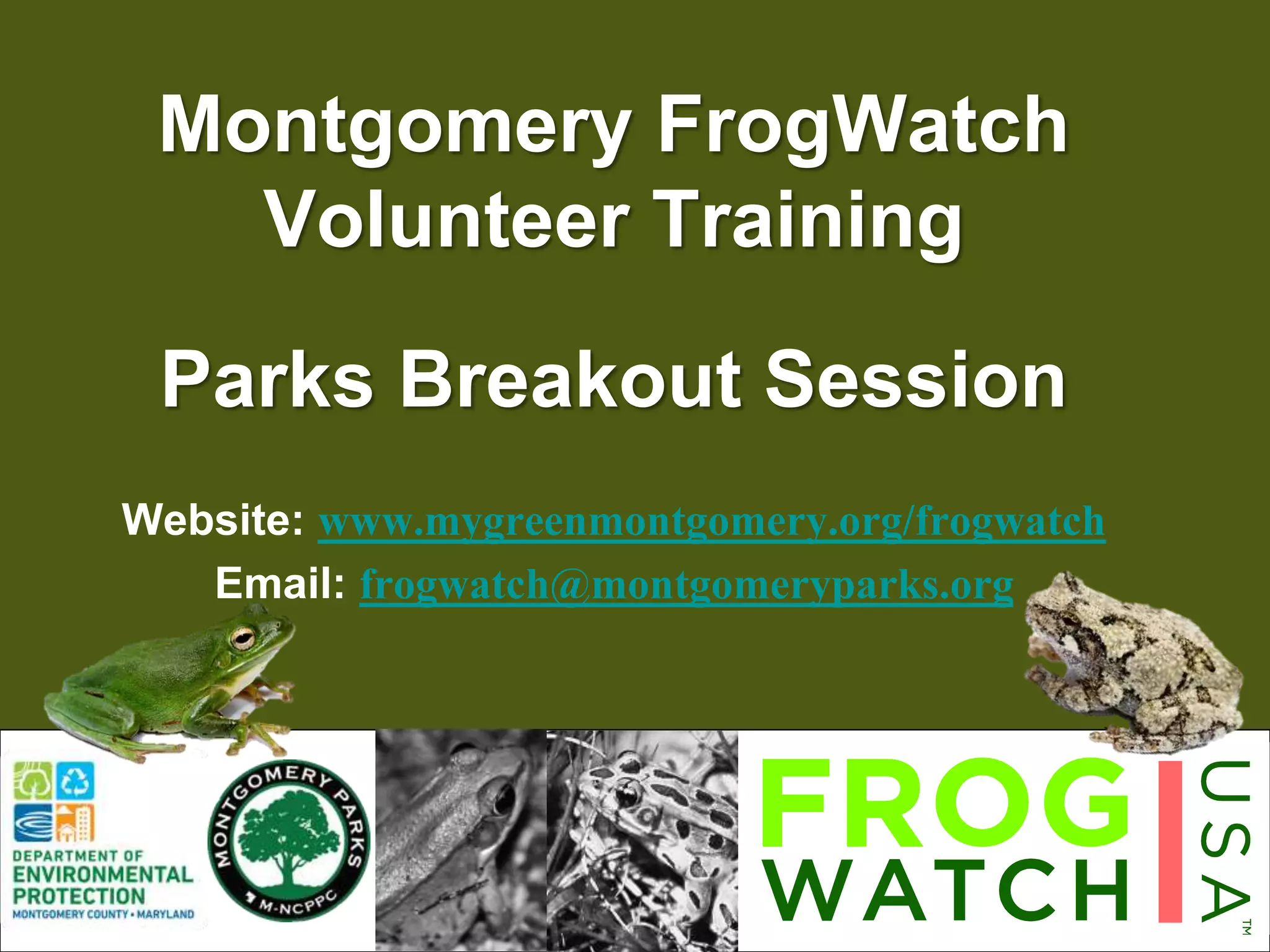 Parks breakout room from FrogWatch 102 training | PPT