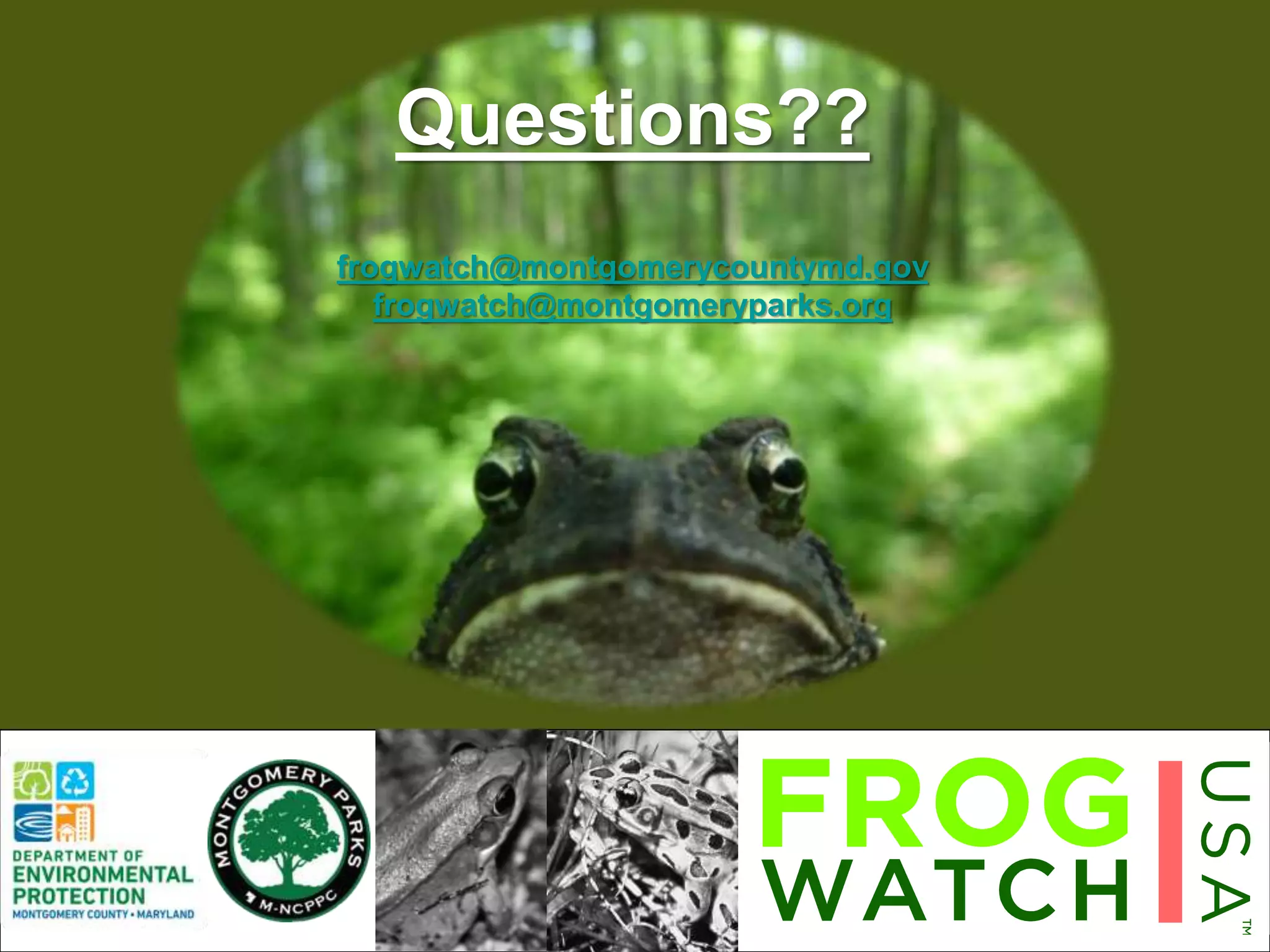 Parks breakout room from FrogWatch 102 training | PPT