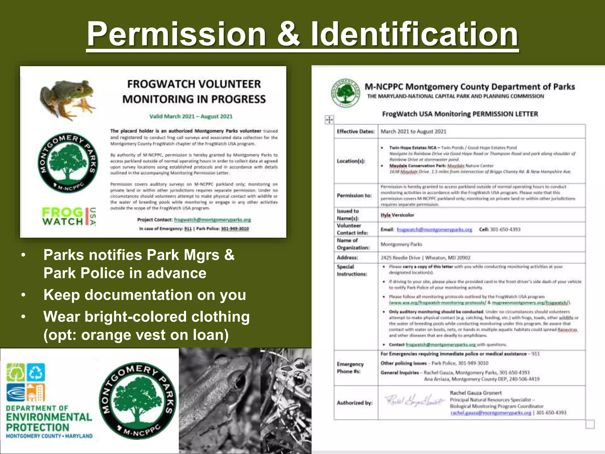 Parks breakout room from FrogWatch 102 training | PPT