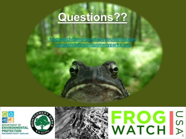 Parks breakout room from FrogWatch 102 training | PPT