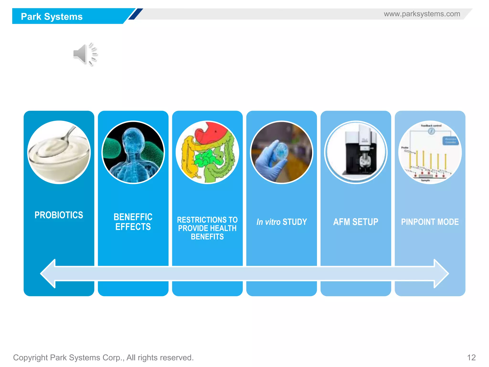 Park Systems webinar probiotic bacteria morphology and nanomechanical properties analysis | PPTX