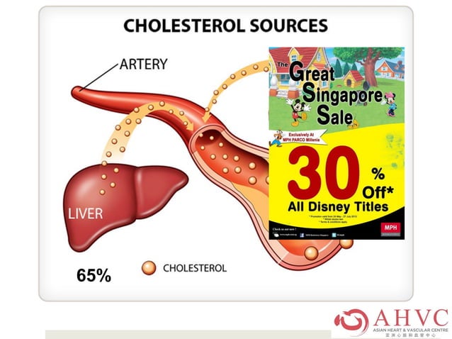 Treating Cholesterol in Asian Patients: Balancing the Risk and Benefits ...