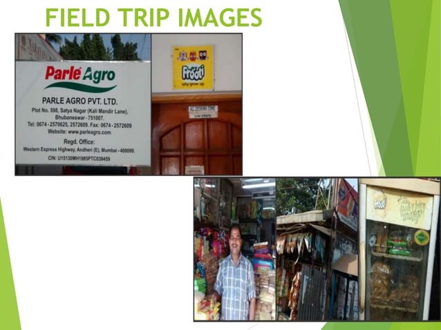 Parle agro grp4 (1) (1) | PPTX | Retail Industry | Industries