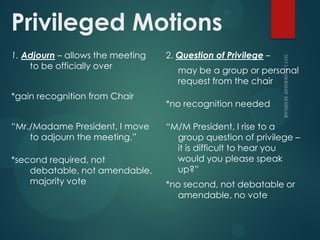 Parliamentary Procedure 101 | PDF