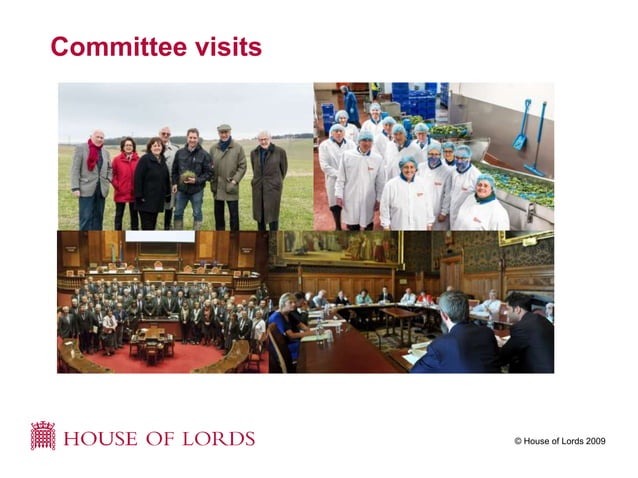 House of Lords select committees | PPT