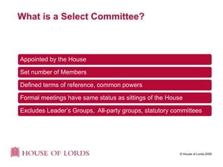House of Lords select committees | PPT