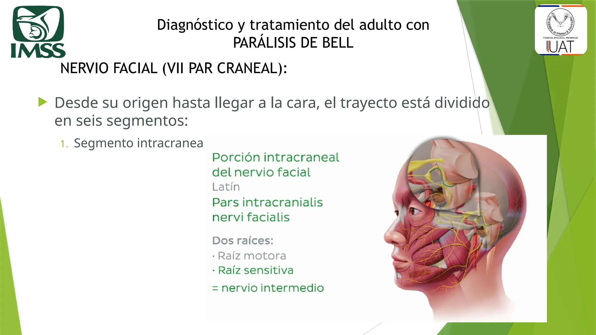 Guia De Practica Clinica ParÁlisis De Bell Pptx