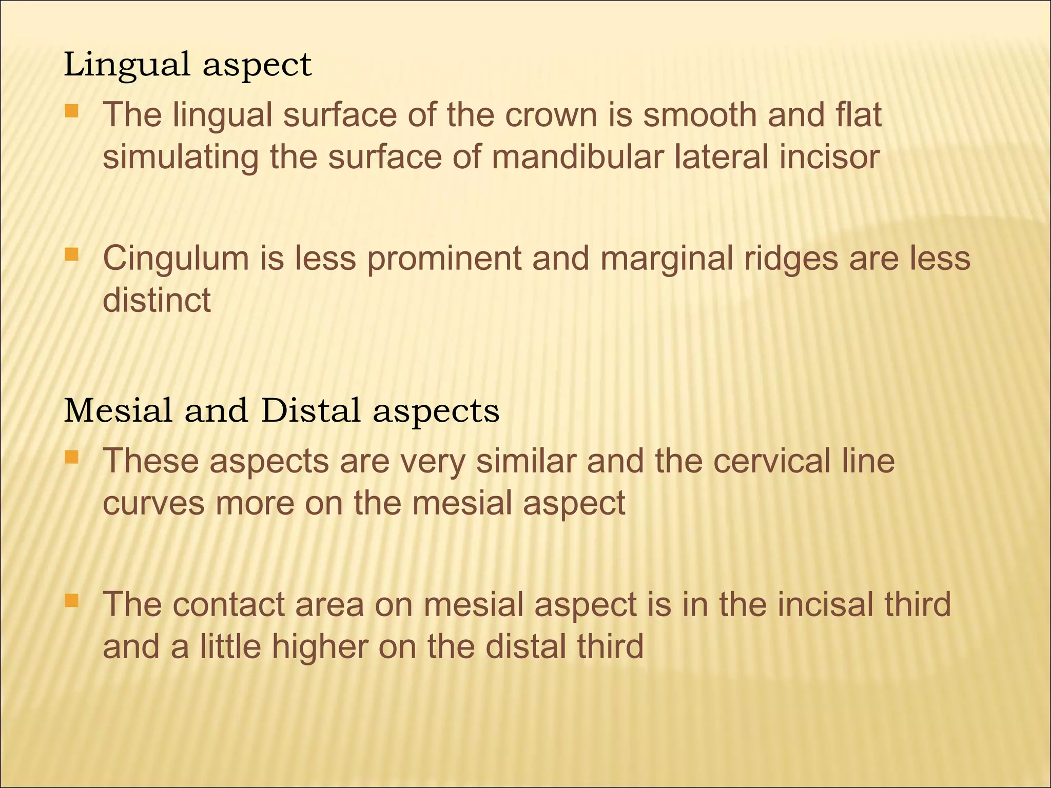 morphology of maxillary & mandibular canine teeth | PPT